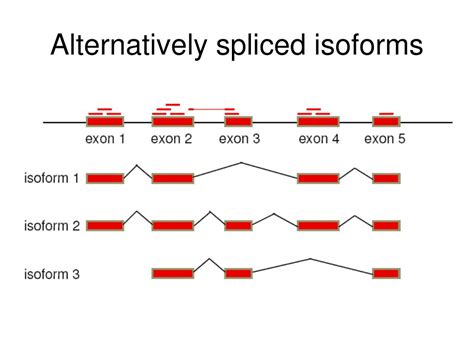 PPT Measuring Isoform Expression From RNA Seq Data Based On LDA PowerPoint Presentation ID