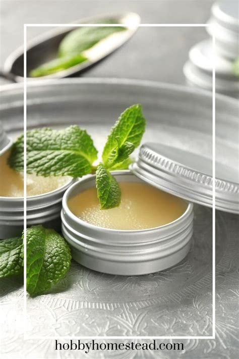Easy Homemade Comfrey Salve Recipe To Make At Home Hobby Homestead