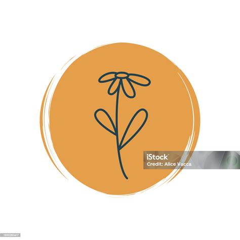 현대 보헤미안 스타일의 데이지 플라워가 있는 귀여운 로고 또는 아이콘 벡터 브러쉬 텍스처가 있는 원그림 소셜 미디어 스토리 및 하이라이트 금융에 대한 스톡 벡터 아트 및