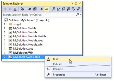 Setup Project Deployment Of A Windows Forms Application Xaf Cross Platform Net App Ui And Web