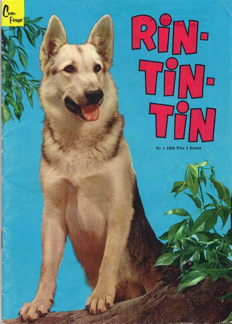 The Adventures Of Rin Tin Tin 1954