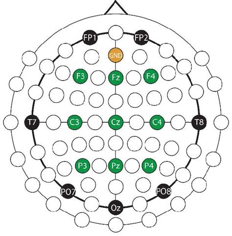 Eeg Montage The Positions Of Eeg And Ground Electrodes Are Presented