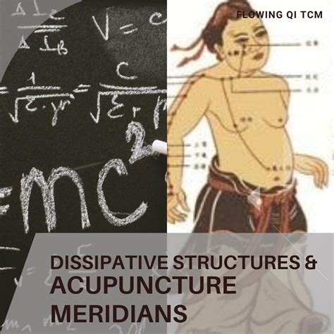 Dissipative Structures And Acupuncture Meridians How Physics Can Help