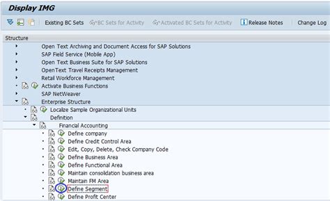 sap fi segments