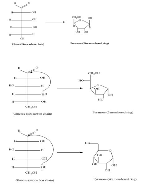 All Monosaccharides Containing Five Or Six Carbon Atoms Havea Open