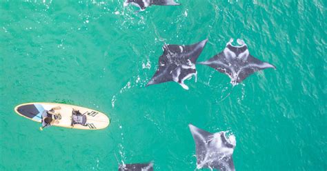 Michelle Daines Posted On Linkedin