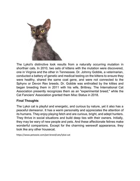 Lykoi Cat Breed Pdf