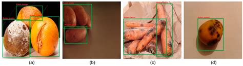 Improved Classification Approach For Fruits And Vegetables Freshness