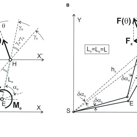 Simplified Geometry Of The Two Joint System With Designation Of The