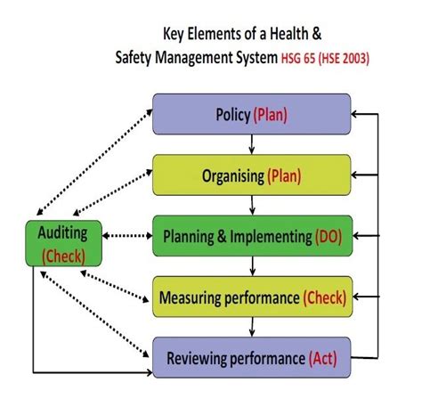 Mohsen Elshahed On Linkedin Popimar 1 Policy A Business Plan For