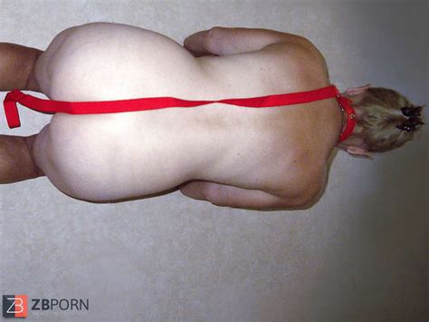 Cangue And Leash Zb Porn