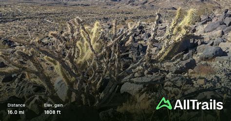 Mccullough Hills Trail Nevada 438 Reviews Map Alltrails