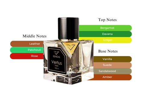 Vertus Paris Bengal Explore The Infinite Strength And Magnetism