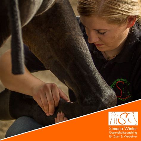 Simona Die Manuelle Therapie Beschäftigt Sich Vor Allem Mit Der Beweglichkeit Der Gelenke So