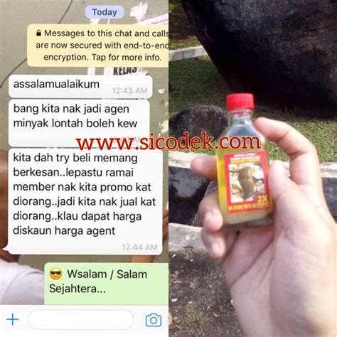 MLTGA MINYAK LINTAH TRADISI GUNUNG ASLI - MEMANG POWER.???