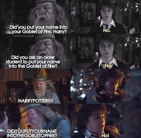 Dumbledore Goblet Of Fire Meme