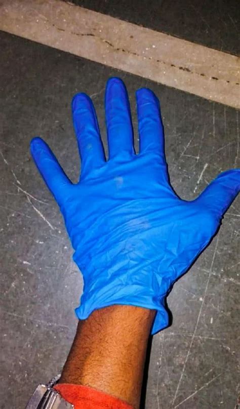 Blue Food Processing Gloves At ₹ 10pair In Ahmedabad Id 2854151322262