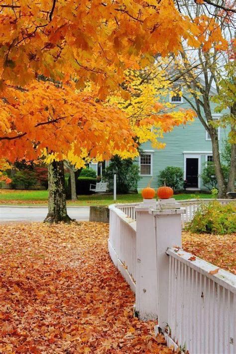 Drew Schaefer On Linkedin Nmls1316 Nmls53460