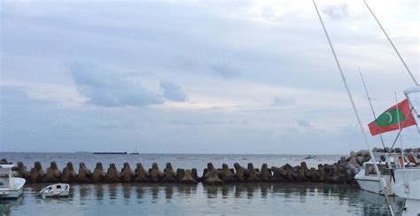 Tetrapods Small Geoarchitecture