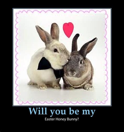 Cute Bunny Quotes Quotesgram