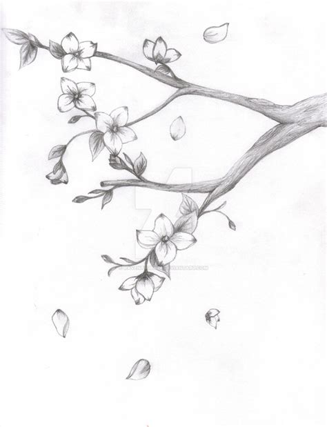 Cherry Blossom Pencil Drawing A Step By Step Guide For Beginners