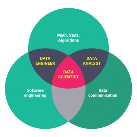 close look at data scientist vs data engineer techiexpert medium