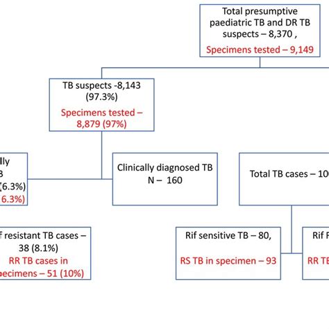 Flow Chart Of Presumptive Tb And Dr Tb Case Enrolment And Tb Detection