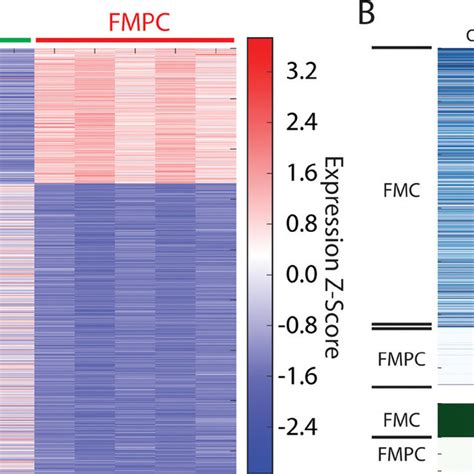 A Heatmap Of Rna Seq Expression Z Scores Computed For All Genes That