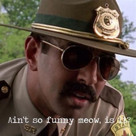 Right Meow Super Troopers