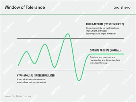 Window Of Tolerance Explained Plus Excercises Toolshero