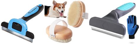 Top 5 Pitbull Brushes Short Hair Grooming Guide