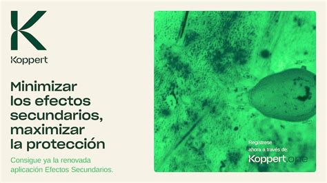 Koppert Mejora Con Ia Su Aplicación De Efectos Secundarios Fyh Revista