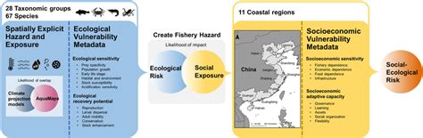 Methodological Framework Illustrating The Approaches To Assess Download Scientific Diagram
