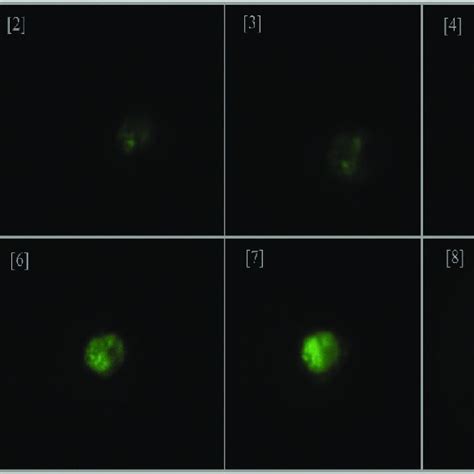 Sequence Of Field Emission Microscope Pattern Images As The Applied