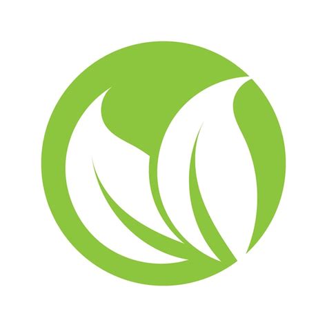 Kertas Gambar Premium Vektor