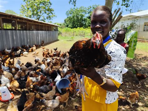 Poultry Project 2025 Projects Delivering Hope