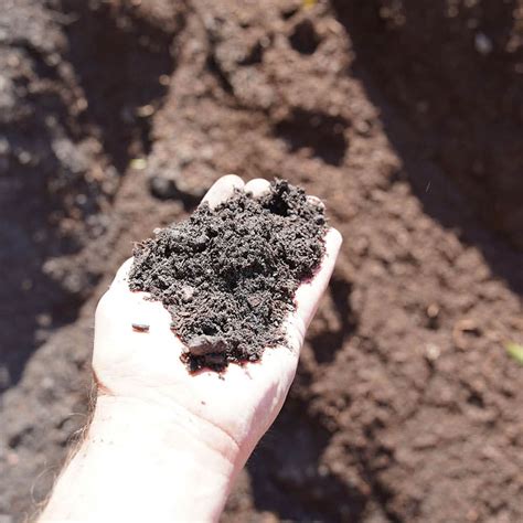 Composted Pine Bark 10mm Cube — Ace Landscapes Supplies