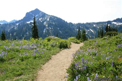 Naches Peak Loop Trail Mount Rainier
