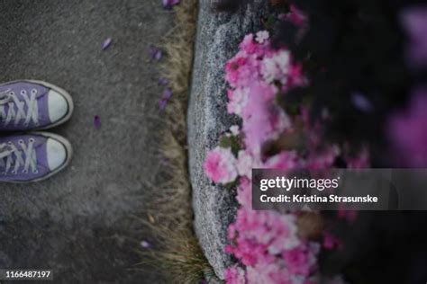 Flowr Photos And Premium High Res Pictures Getty Images