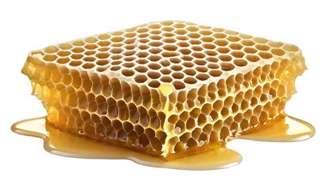 Ilustración De Panal 43665114 Png