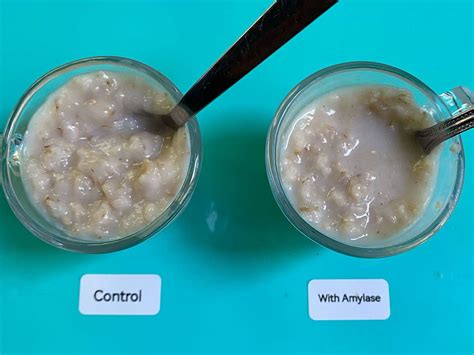 The Surprising Reason You Shouldnt Double Dip Its Not Just Germs