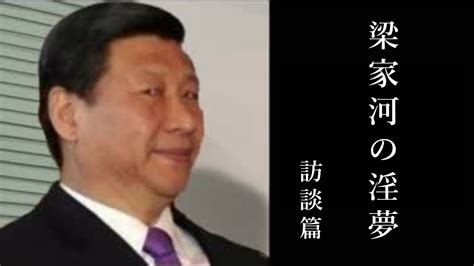 《梁家河の淫夢》訪談篇 Youtube