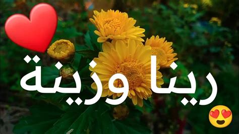 أغنية أسم رينا وزينة أغنية رينا وزينة رينا زينة اغنية اغاني Youtube