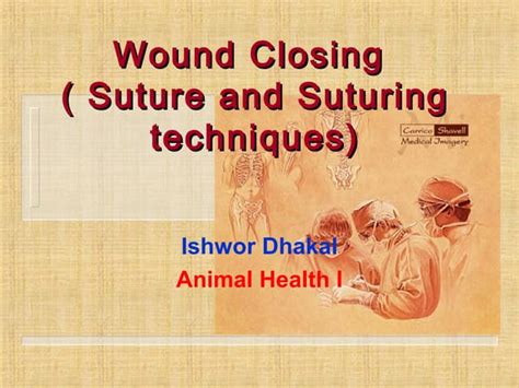 Wound Management Ppt
