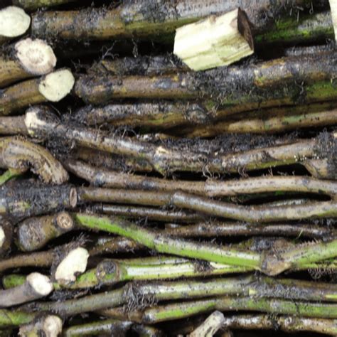 Greenbrown Piper Chaba Packaging Size 1 10 Kg Grade Standard