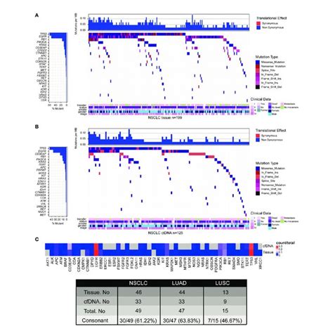 Tumor Mutation Landscape Of Nsclc Derived From Tumor Tissue Dna N