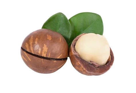 Macadamia Key Images Free Download On Freepik