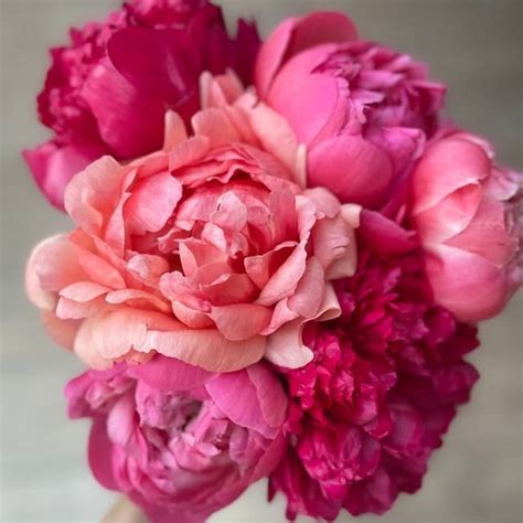 Korinu • Threads Say More