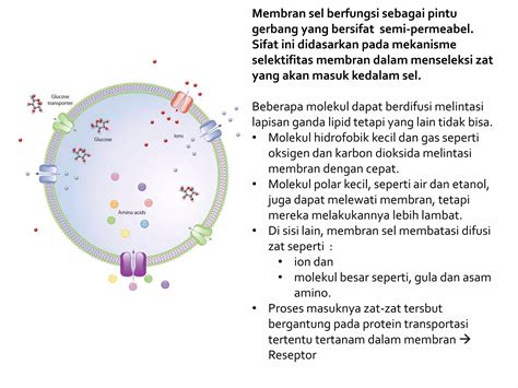 Farmakodinamika Pptx