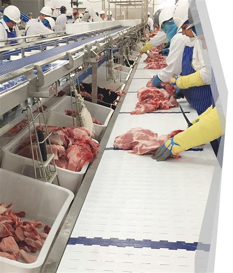 Red Meat Processing Solutions Equipment Sf Engineering